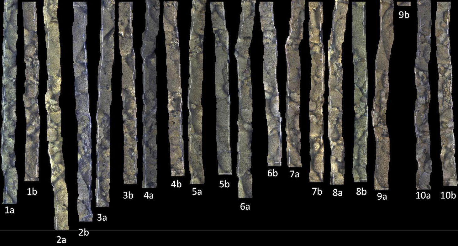 Underwater Video Mosaicing Using Topology and Superpixel-Based Pairwise ...